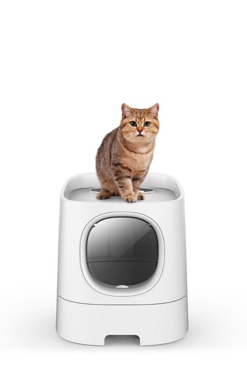 DesignNest.com | Buy, Fund, Explore Innovative Design Products